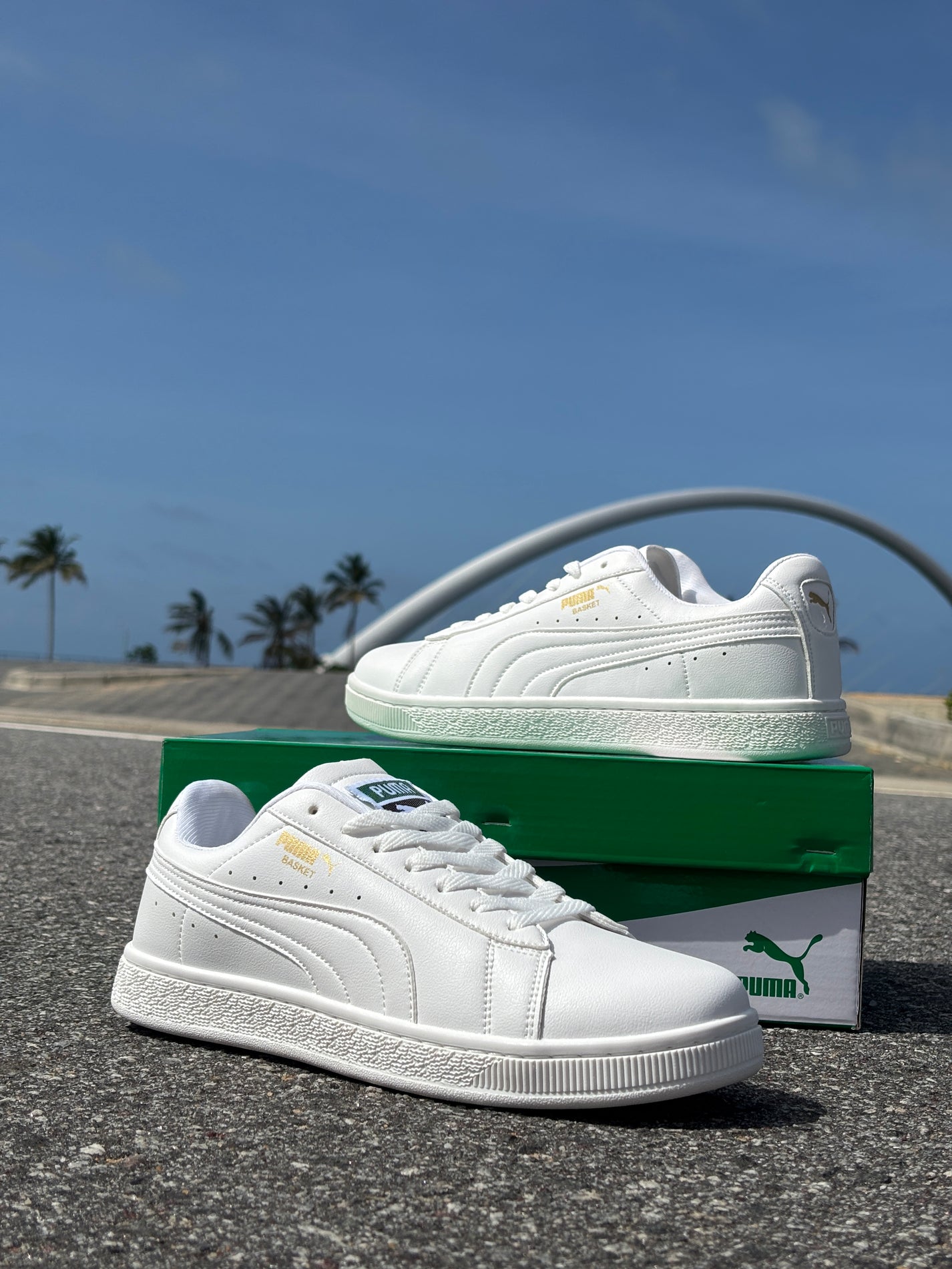 PUMA V6 Low – The Shoe Station