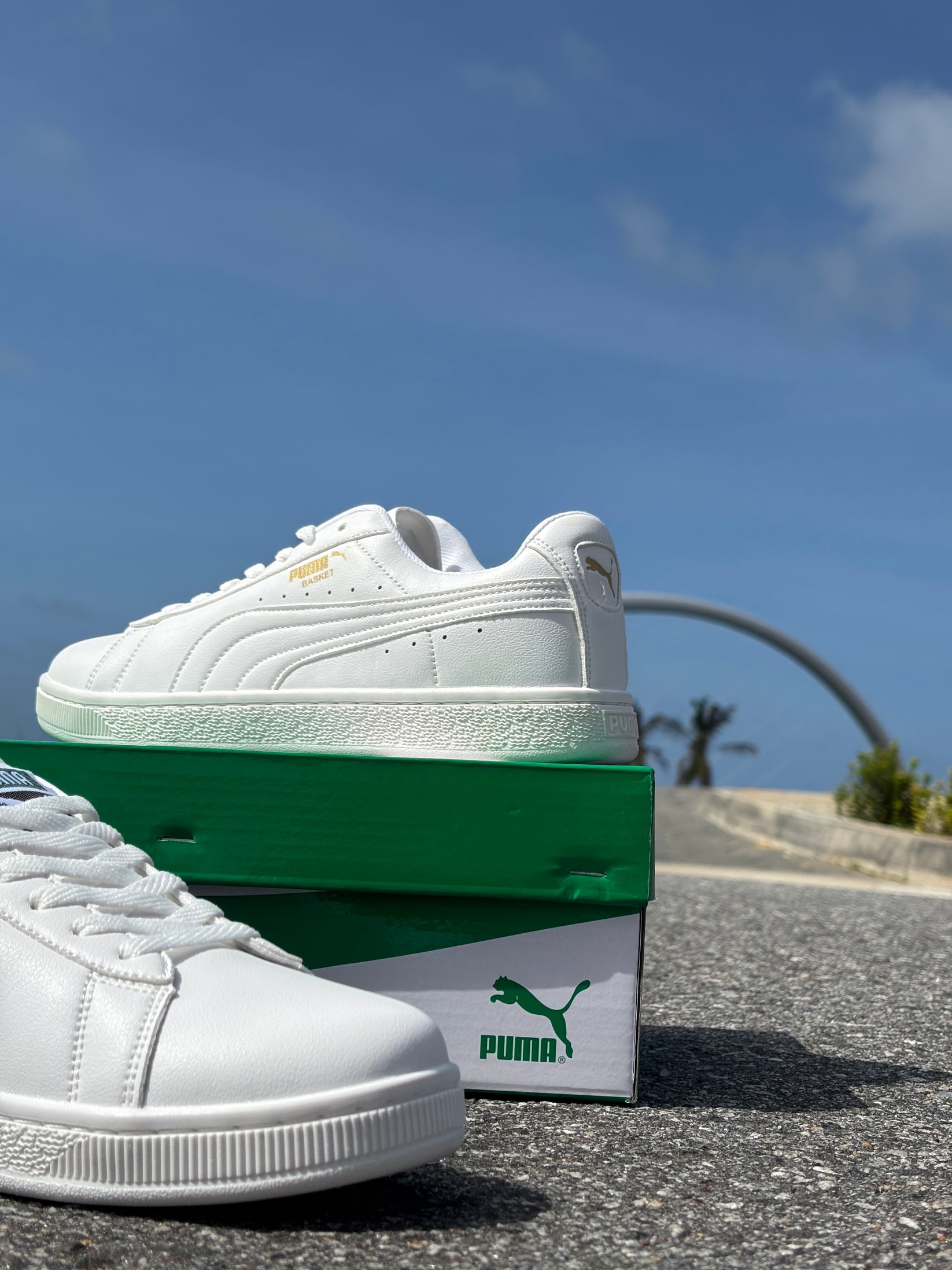 PUMA V6 Low – The Shoe Station